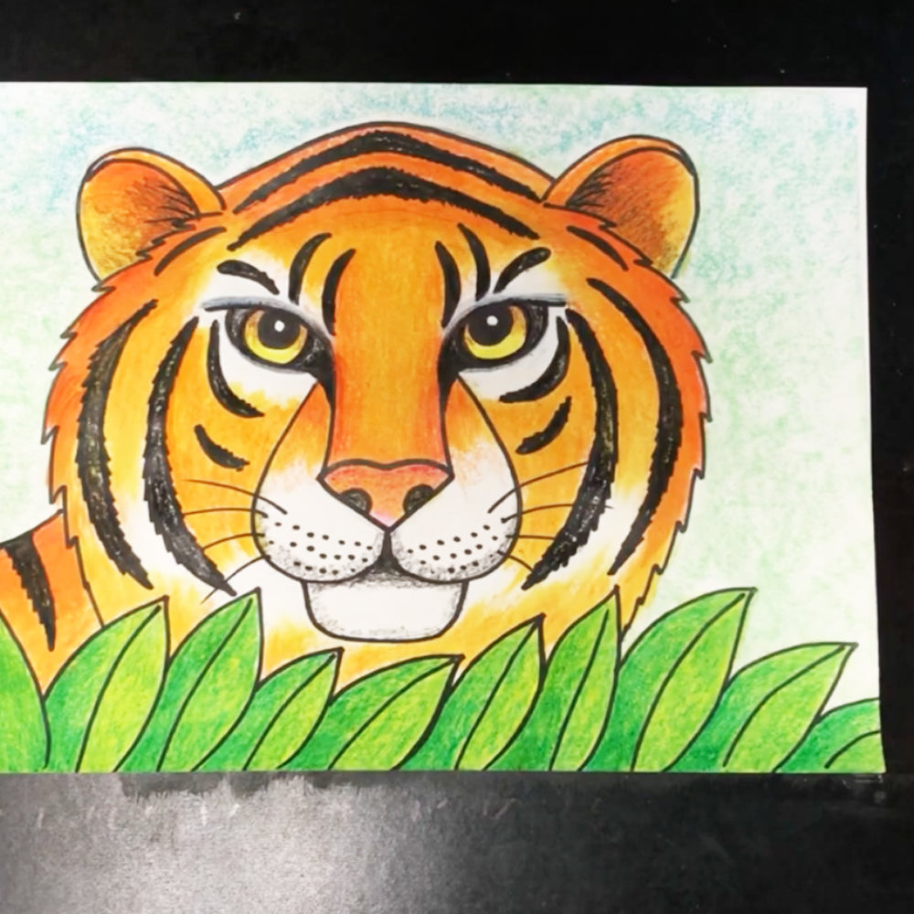 Tiger – Elementary Art Stars
